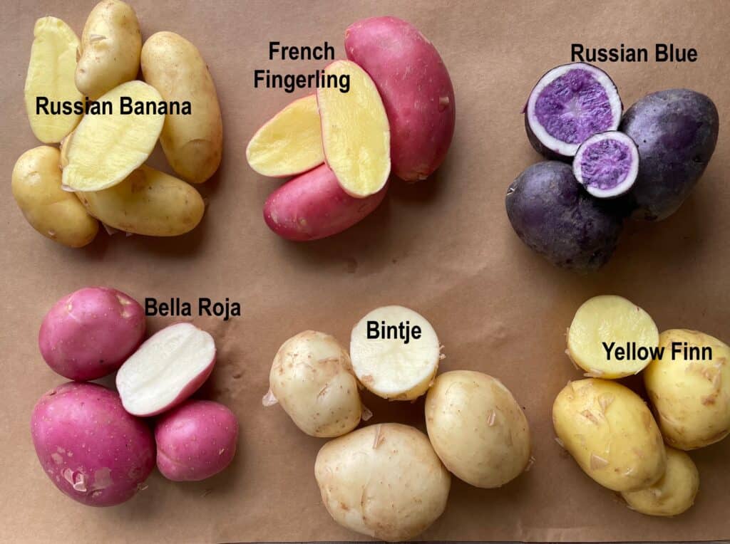 What’s in my box? - Full Belly Farm