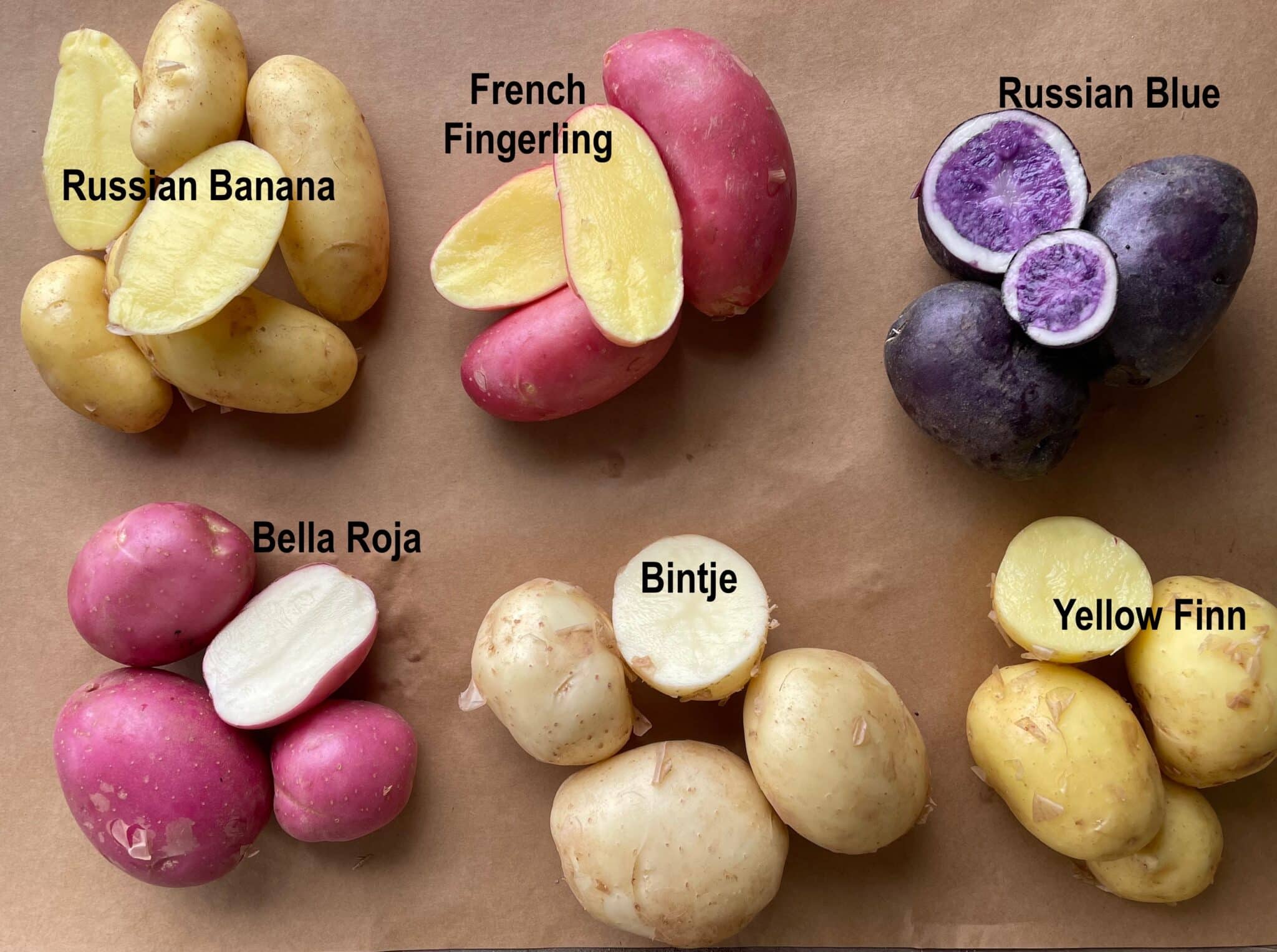 What’s in my box? - Full Belly Farm