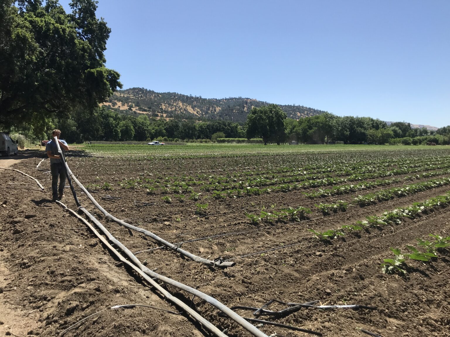 Home - Full Belly Farm