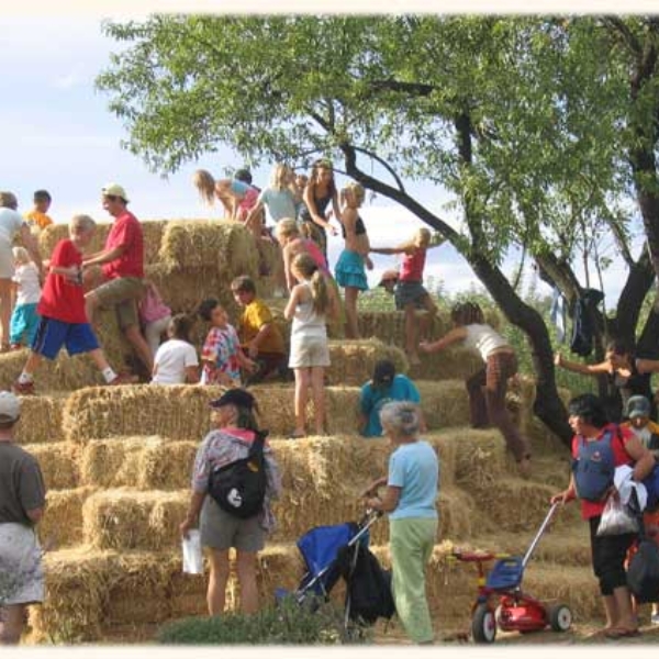 Hoes Down - Full Belly Farm