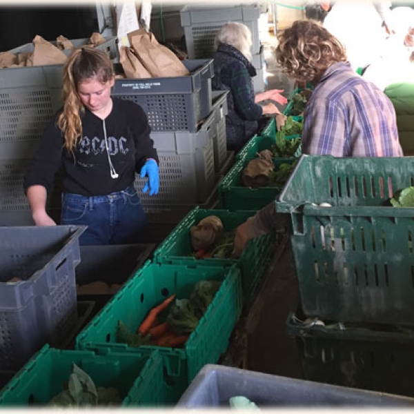 Our CSA - Full Belly Farm