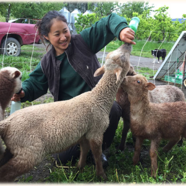 Internships - Full Belly Farm