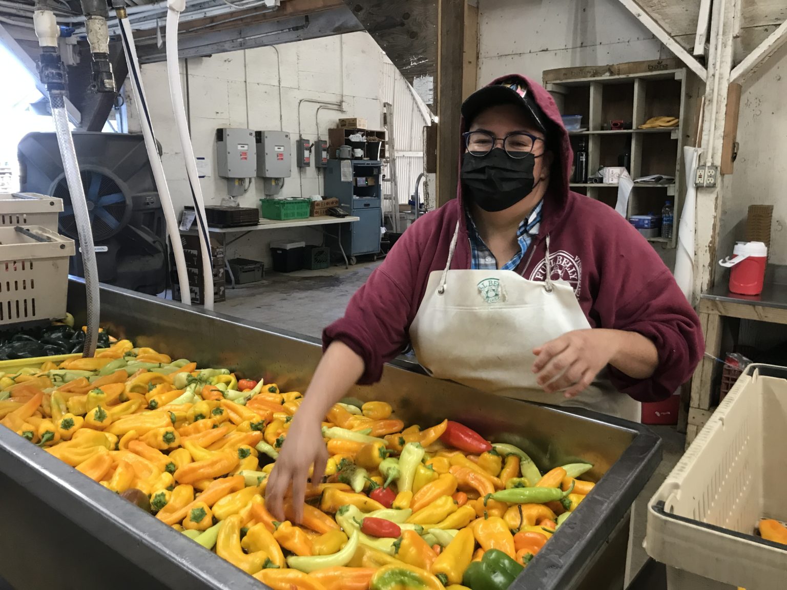 Farm News - Full Belly Farm