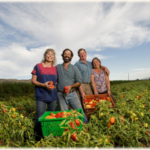 About Us - Full Belly Farm