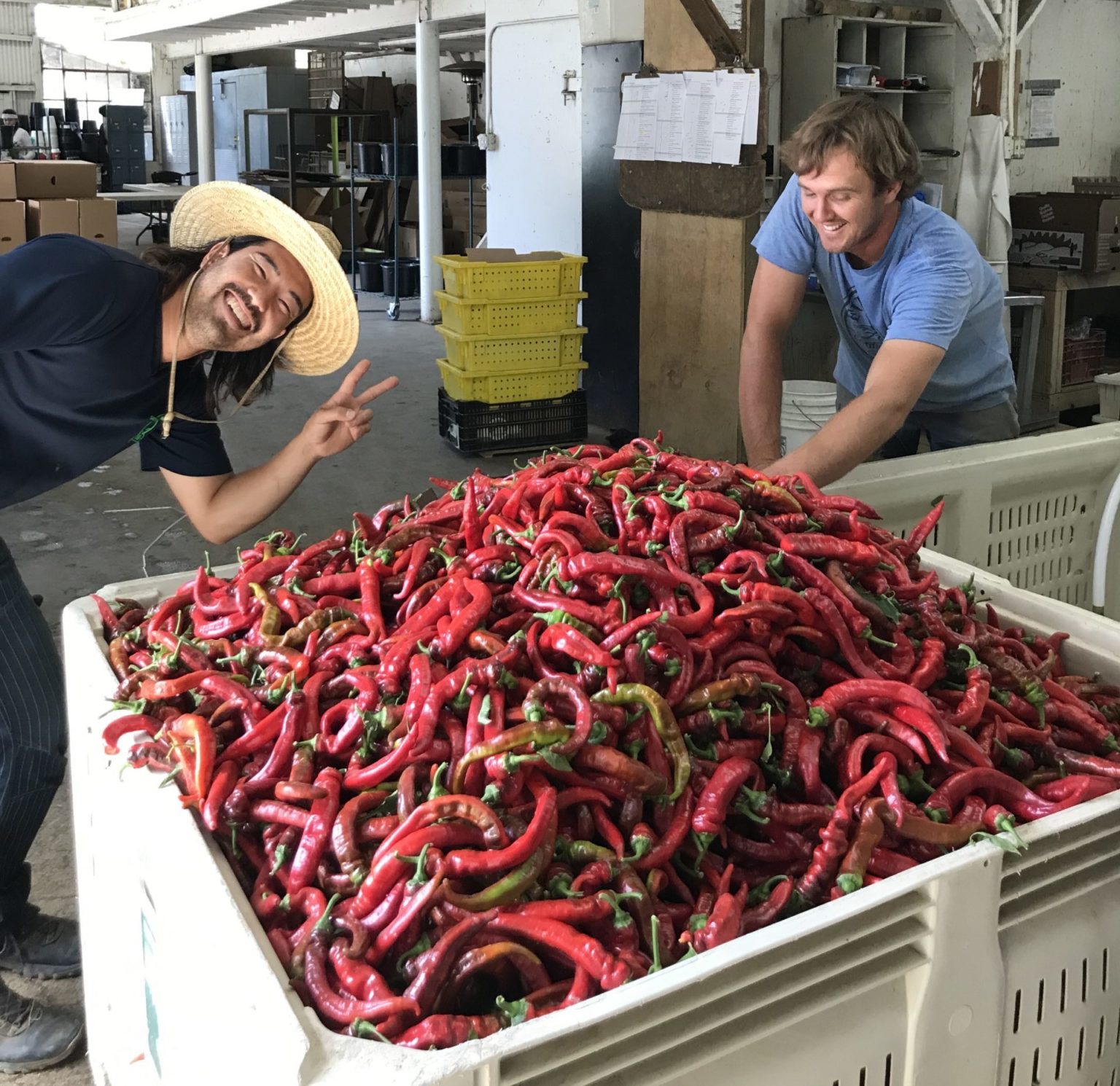 Farm News - Full Belly Farm