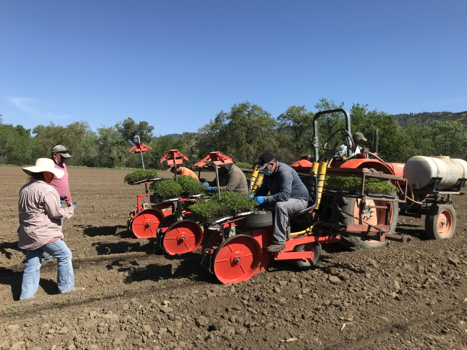 Farm News - Full Belly Farm